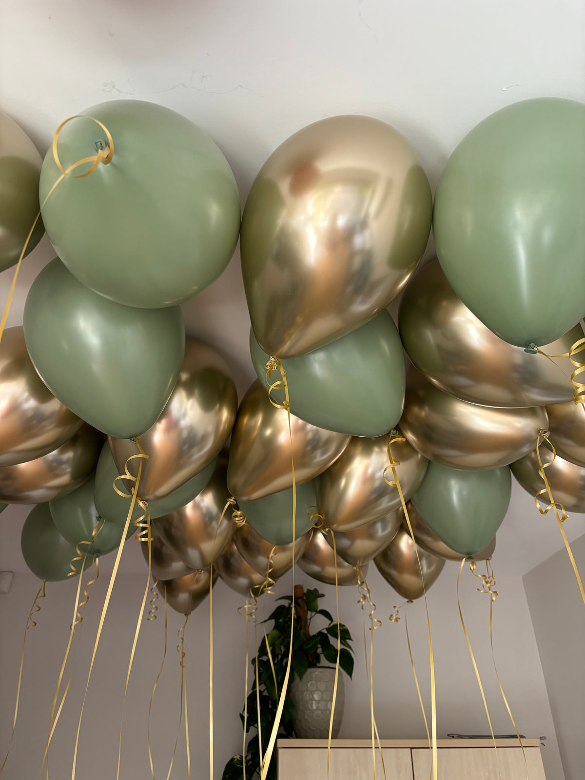 Plain Latex Balloons (Sage Green and Gold) — Sweet Celebrations Ltd